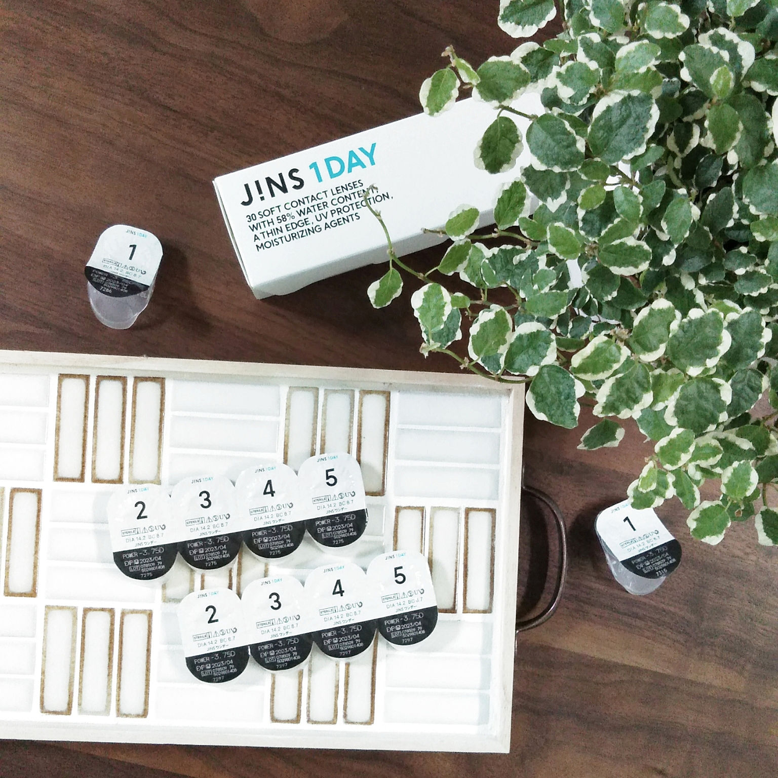 JINS 1DAYおトク定期便